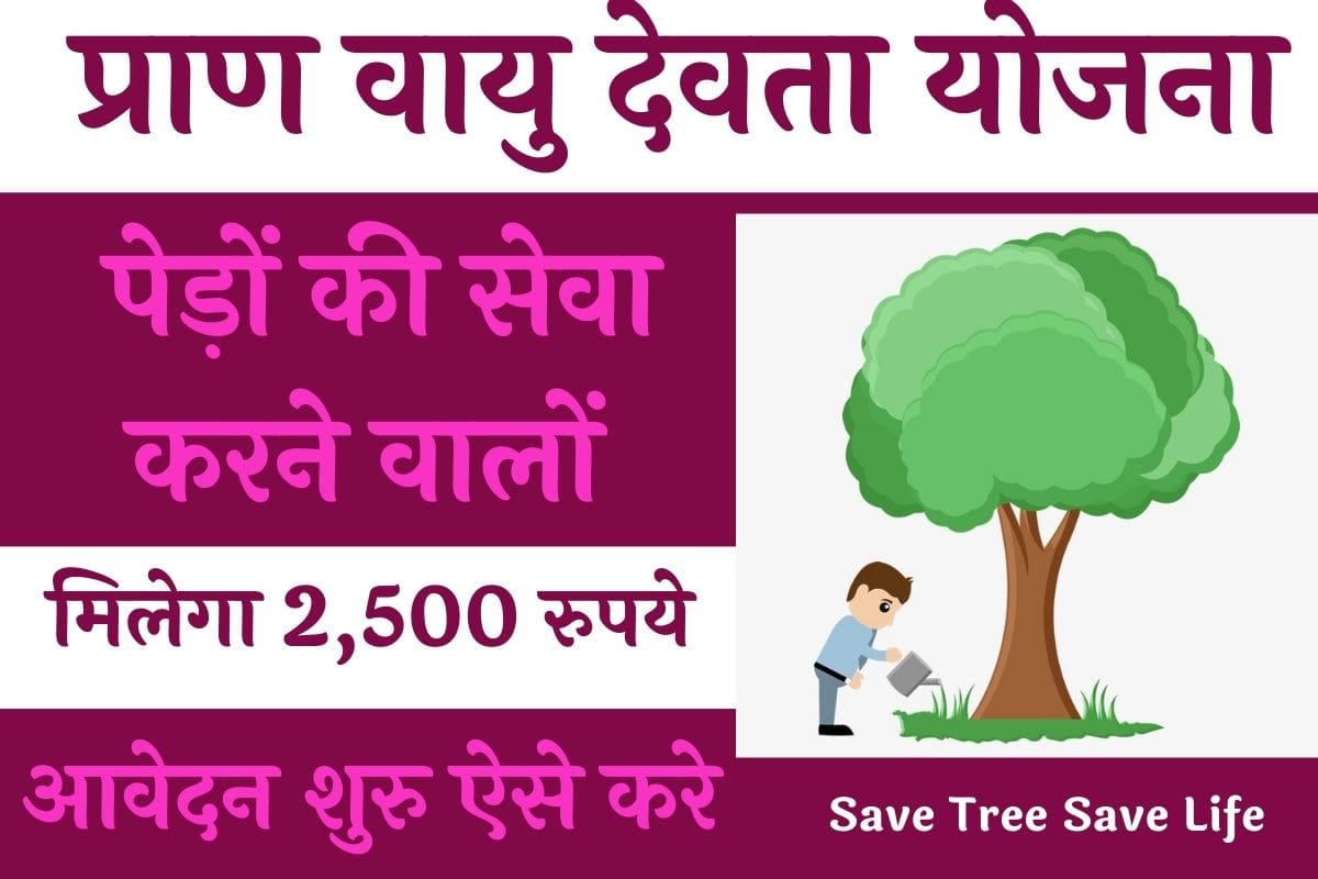 Pran Vayu Devta Scheme: पेड़ों की सेवा करने वालों को 2500 रुपये देगी ...